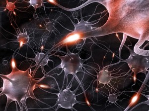 Como funcionam os neurônios | Supera - Estimulação Cognitiva